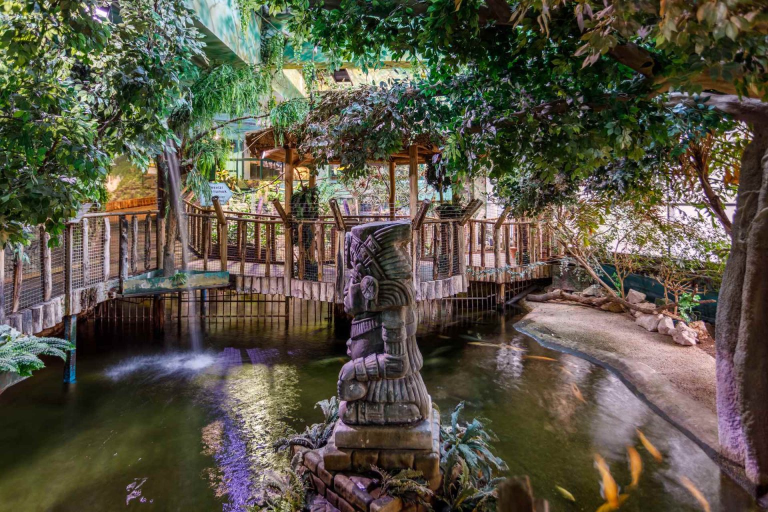 Rules of visit - Tropicarium - A cápás állatkert - Tropicarium a cápás ...